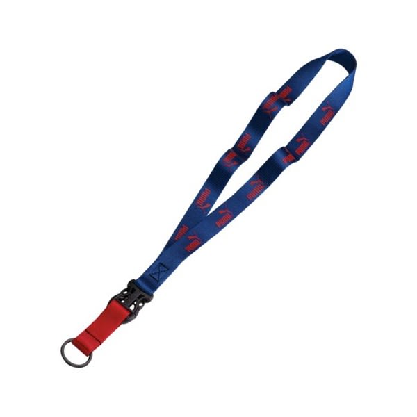 Imprinted Multi Color Nylon Lanyard - Plastic Buckle | Custom Lanyards