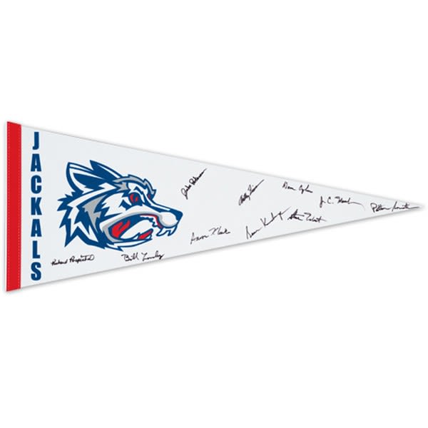 30 Inch x 12 Inch White Pennant | Custom Imprinted Pennant