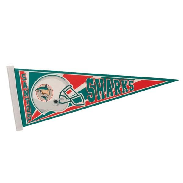 Full Color Premium Felt Pennants 9 x 24 | Promotional Pennants