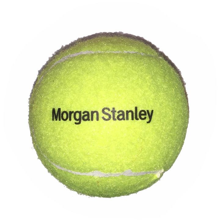 Logo Pet Fetch Toy Tennis Ball | Custom Dog Gifts