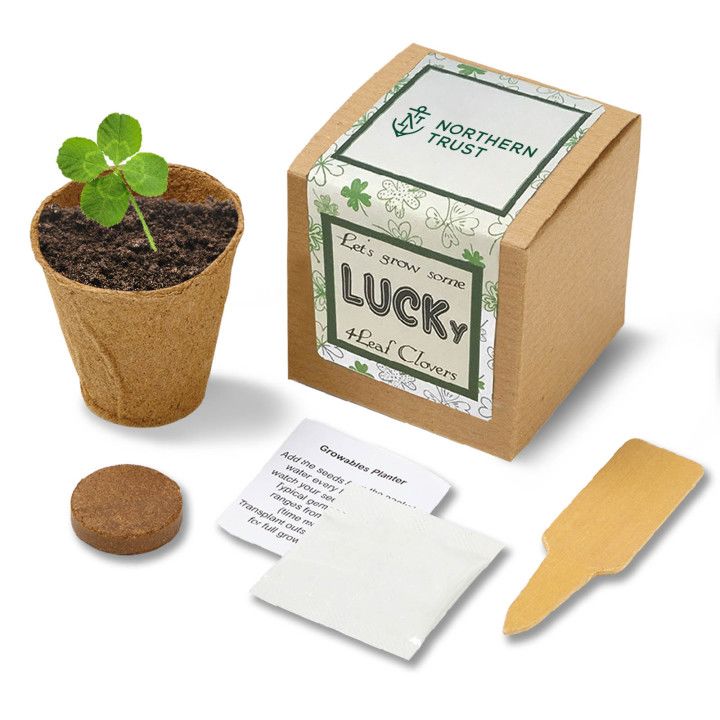 Custom Lucky 4 Leaf Clover Growables Planter
