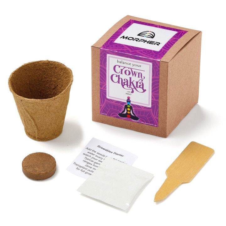 Custom Crown Chakra Growable in Kraft Gift Box