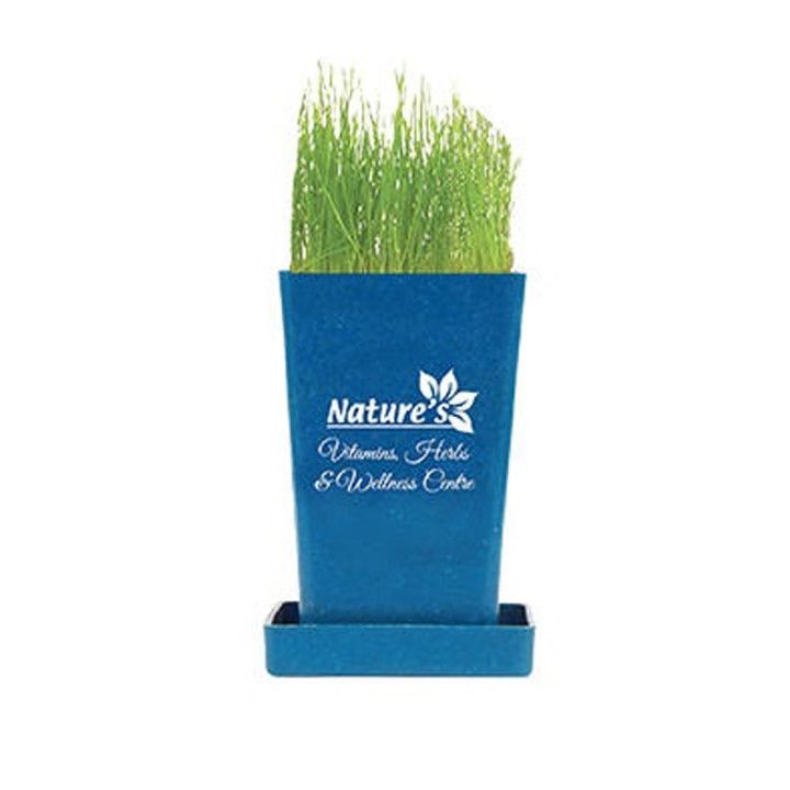 Custom Expression Planter, 1-Pack Planter