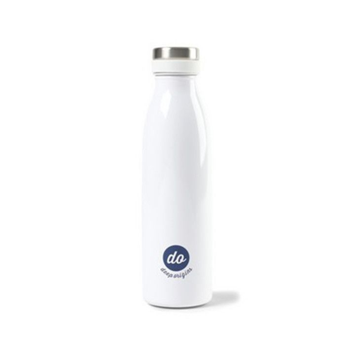 Custom Aviana Palmer Double Wall Stainless Bottle - 17 Oz.