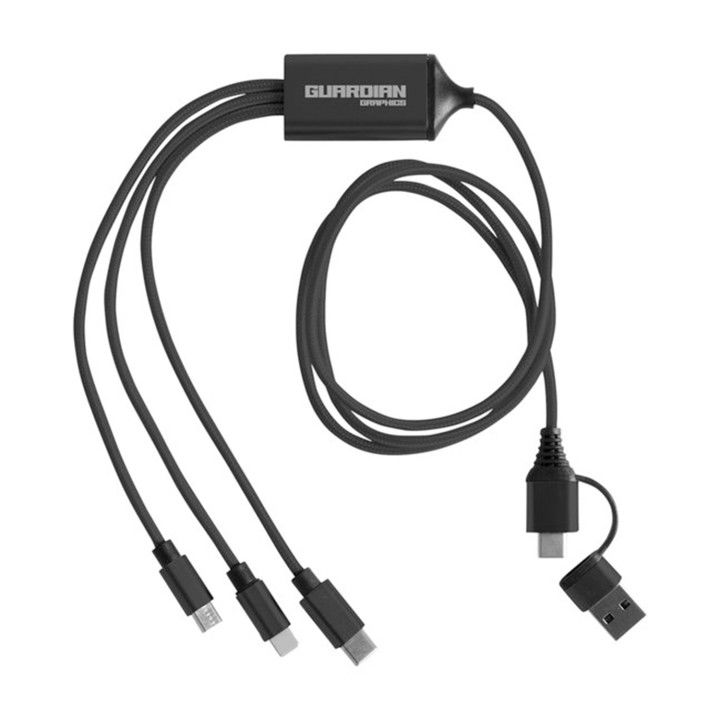 Custom 3-in-1 Charging Cable with Dual Input