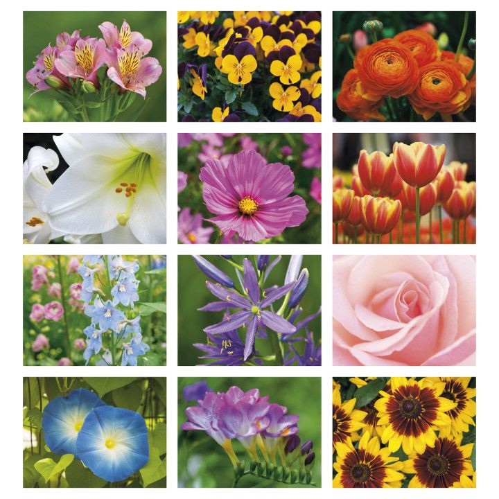 Custom Flowers - Staped Calendar
