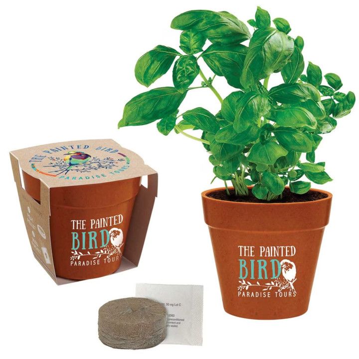 Mini Bamboo Blossom Seed Kit with Logo