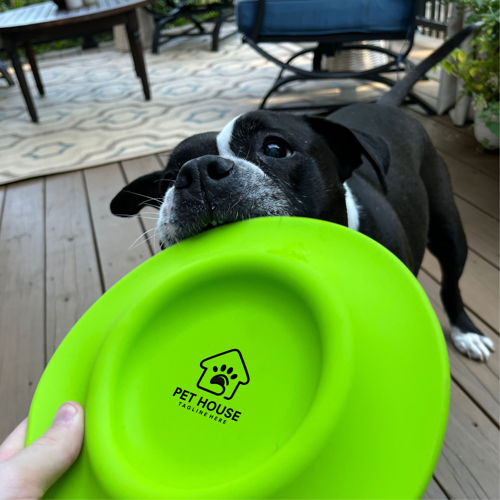 Custom Flying Disc Water Dish