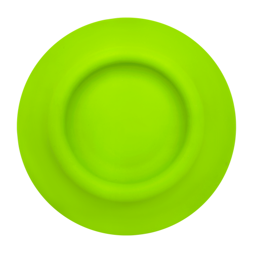 Custom Flying Disc Water Dish
