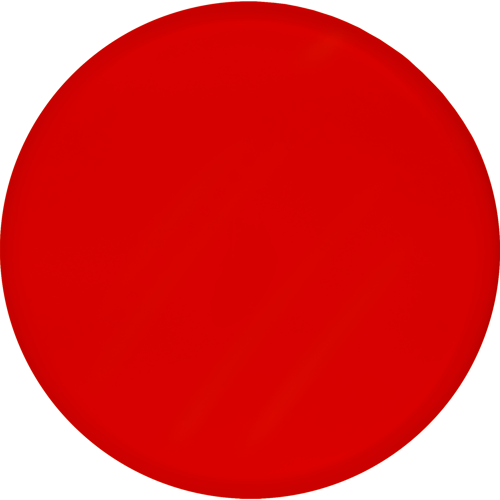 Custom Foam Safety Flyer Disc