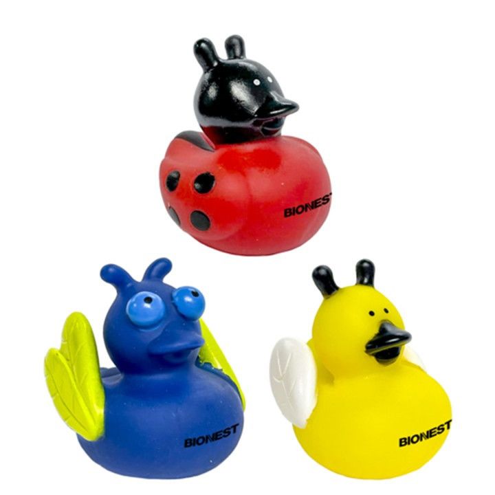 Custom Insect Ducks