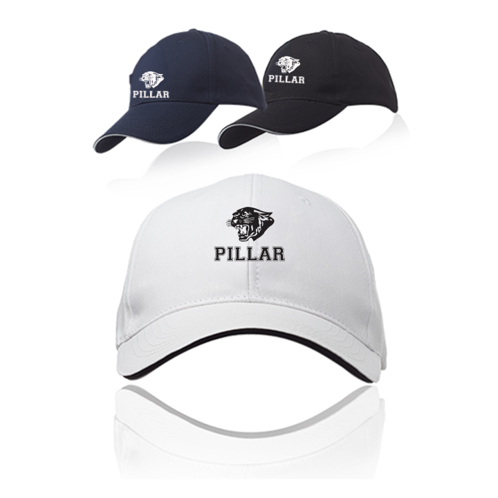 Custom Ace 6 Panel Structured Baseball Caps