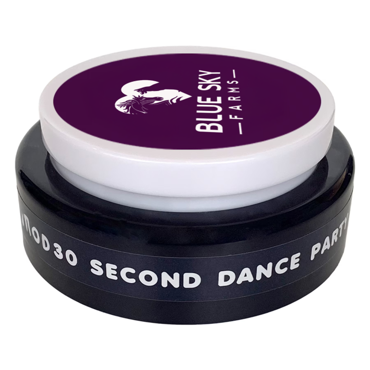 Custom 30 Second Dance Party