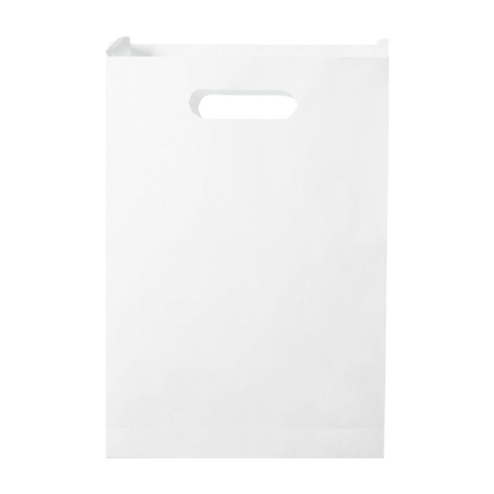 Custom Full-Color 2-Sided Gusset Bag 9 x 13 x 2.5
