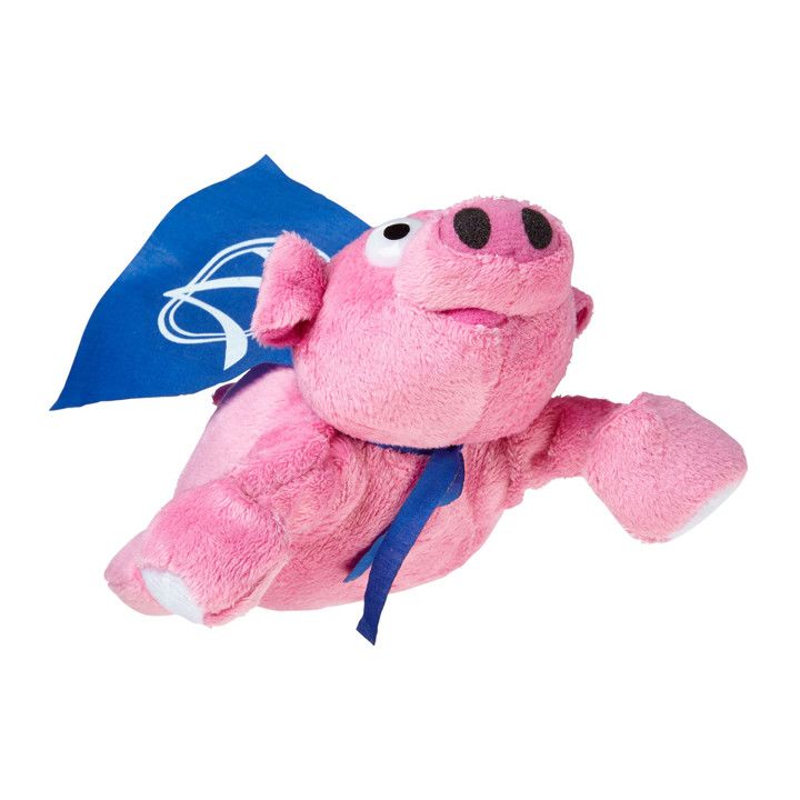 Custom Flying Oinking Pig