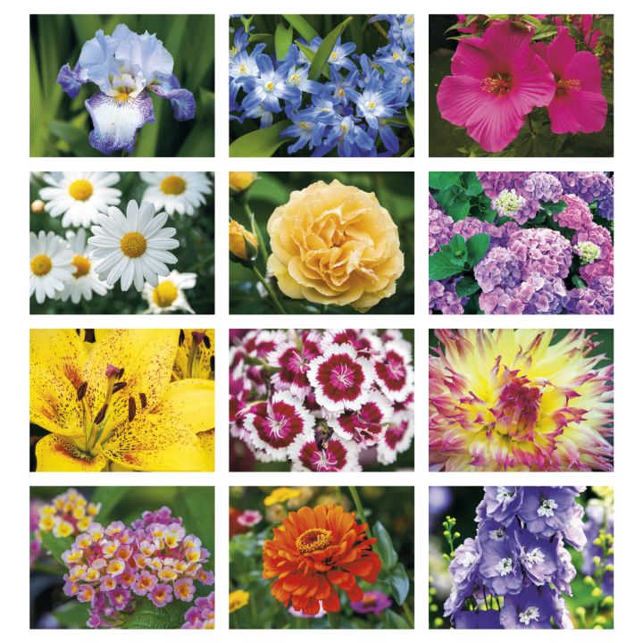 Custom Flowers - Spiral Calendar