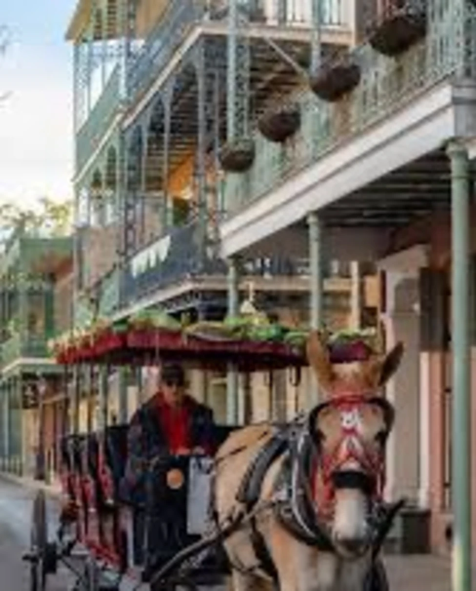 Le Bon Temps Rouler! The Complete Guide to New Orleans