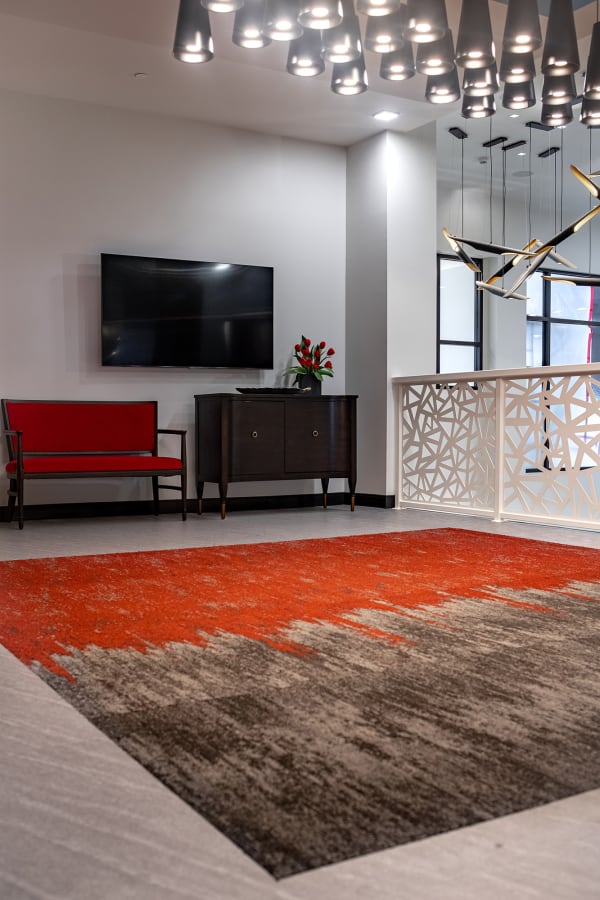 The Carpet Shoppe - Commercial Portfolio