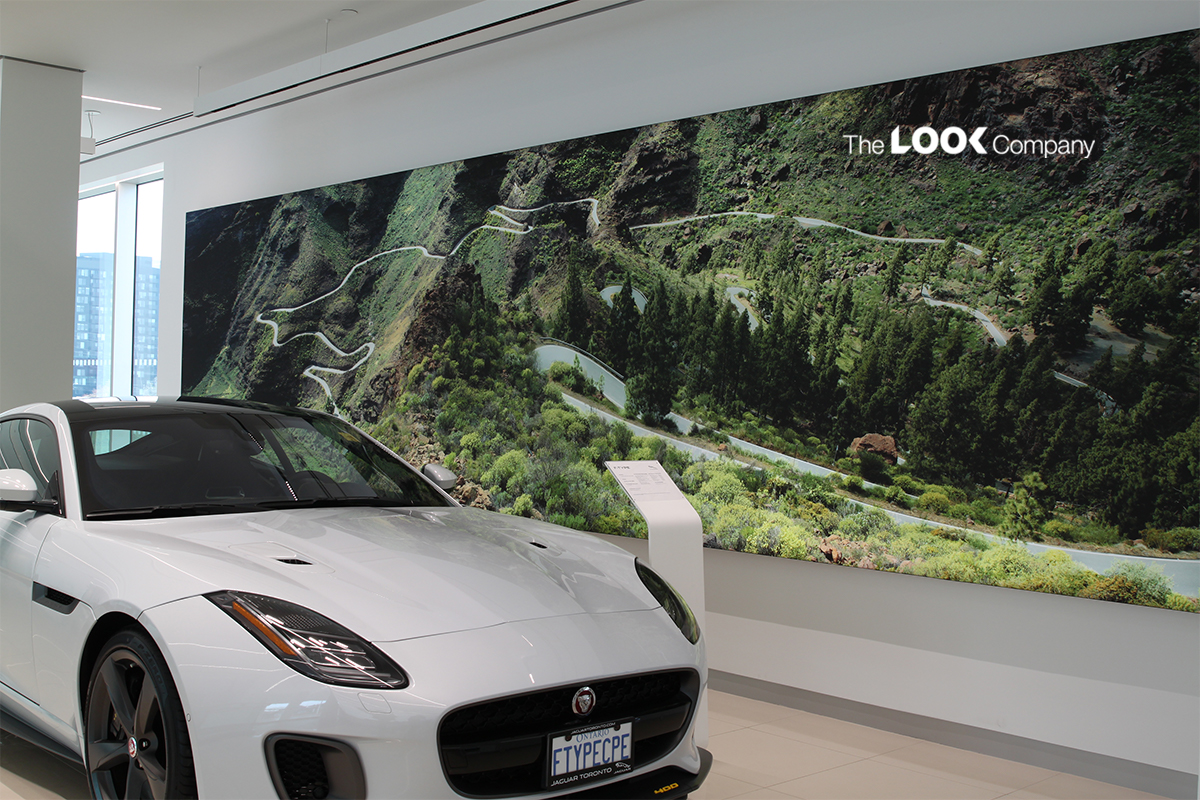 How Visual Displays Help Car Dealerships Enhance the Buyer Experience