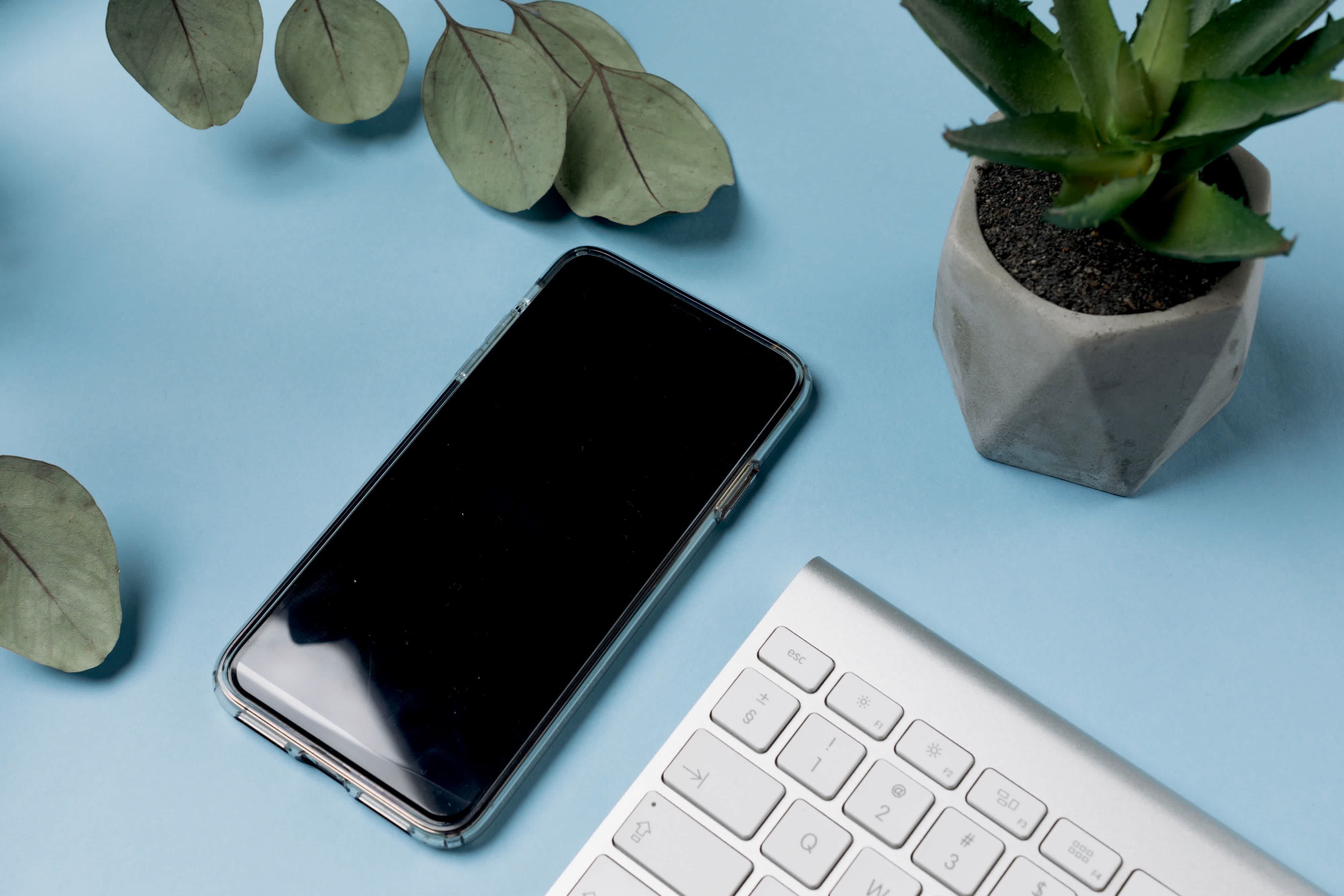 Our Client Case Studies | 43 Clicks North