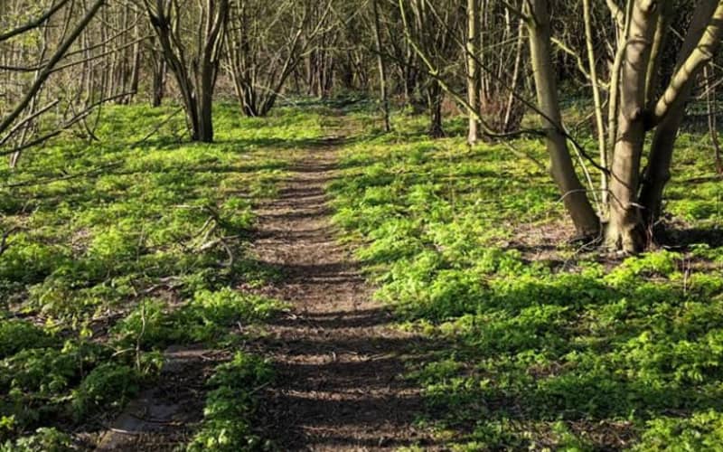 Woolwich Common, Greenwich | GoParksLondon