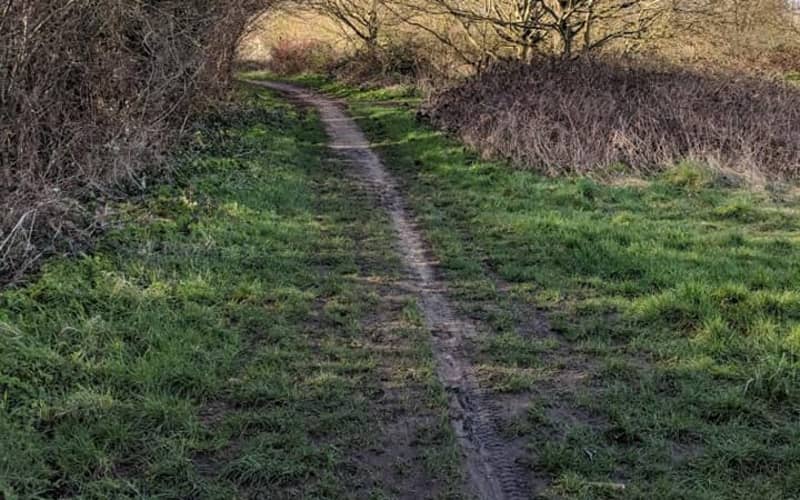 Woolwich Common, Greenwich | GoParksLondon