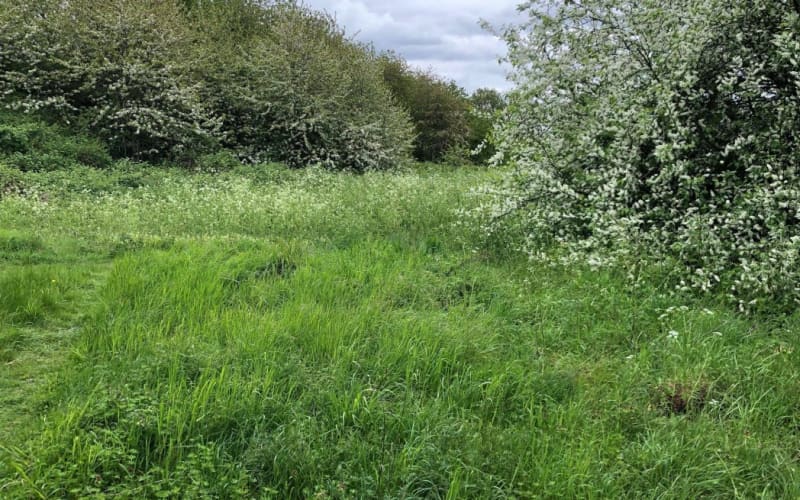 Woolwich Common, Greenwich | GoParksLondon