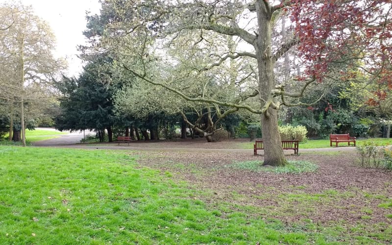 Priory Park (Haringey), Haringey | GoParksLondon