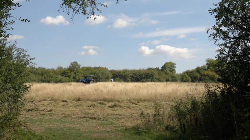 Copthall Playing Fields and Stadium, Barnet | GoParksLondon