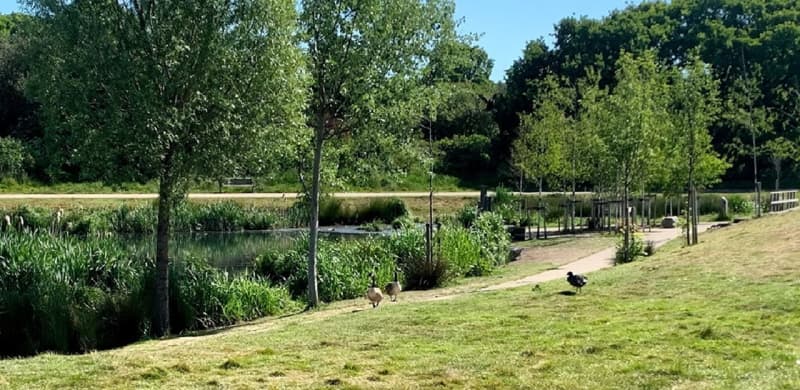 Firs Farm Wetlands Park and Playing Field, Enfield | GoParksLondon
