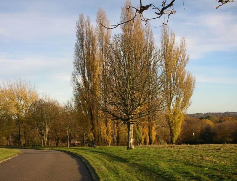 Horn Park, Greenwich | GoParksLondon