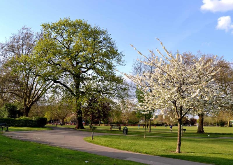 Priory Park (Haringey), Haringey | GoParksLondon