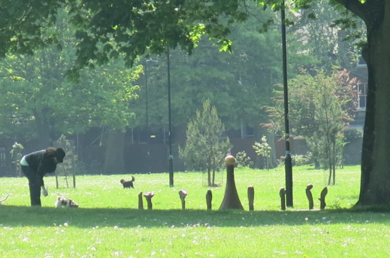 Well Street Common, Hackney | GoParksLondon