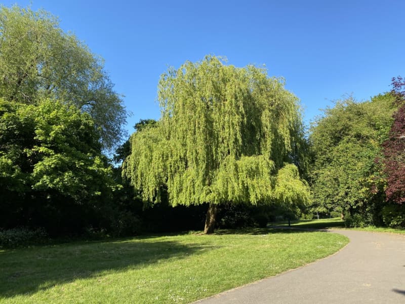 Yeading walk, Harrow | GoParksLondon