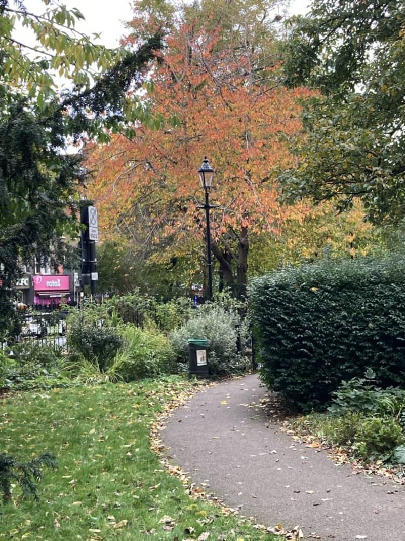 Compton Terrace Public Open Space, Islington | GoParksLondon