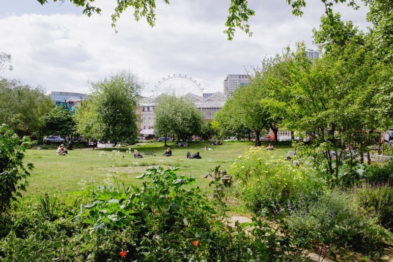 Waterloo Millennium Green, Lambeth | GoParksLondon