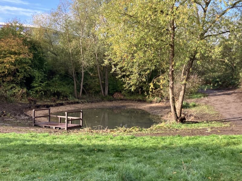 Bell Green Pond, Lewisham | GoParksLondon