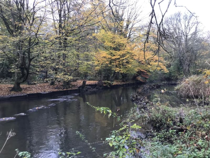 Crane Park South, Hounslow|Richmond upon Thames | GoParksLondon