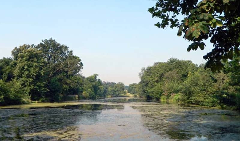 Wanstead Park, Redbridge | GoParksLondon