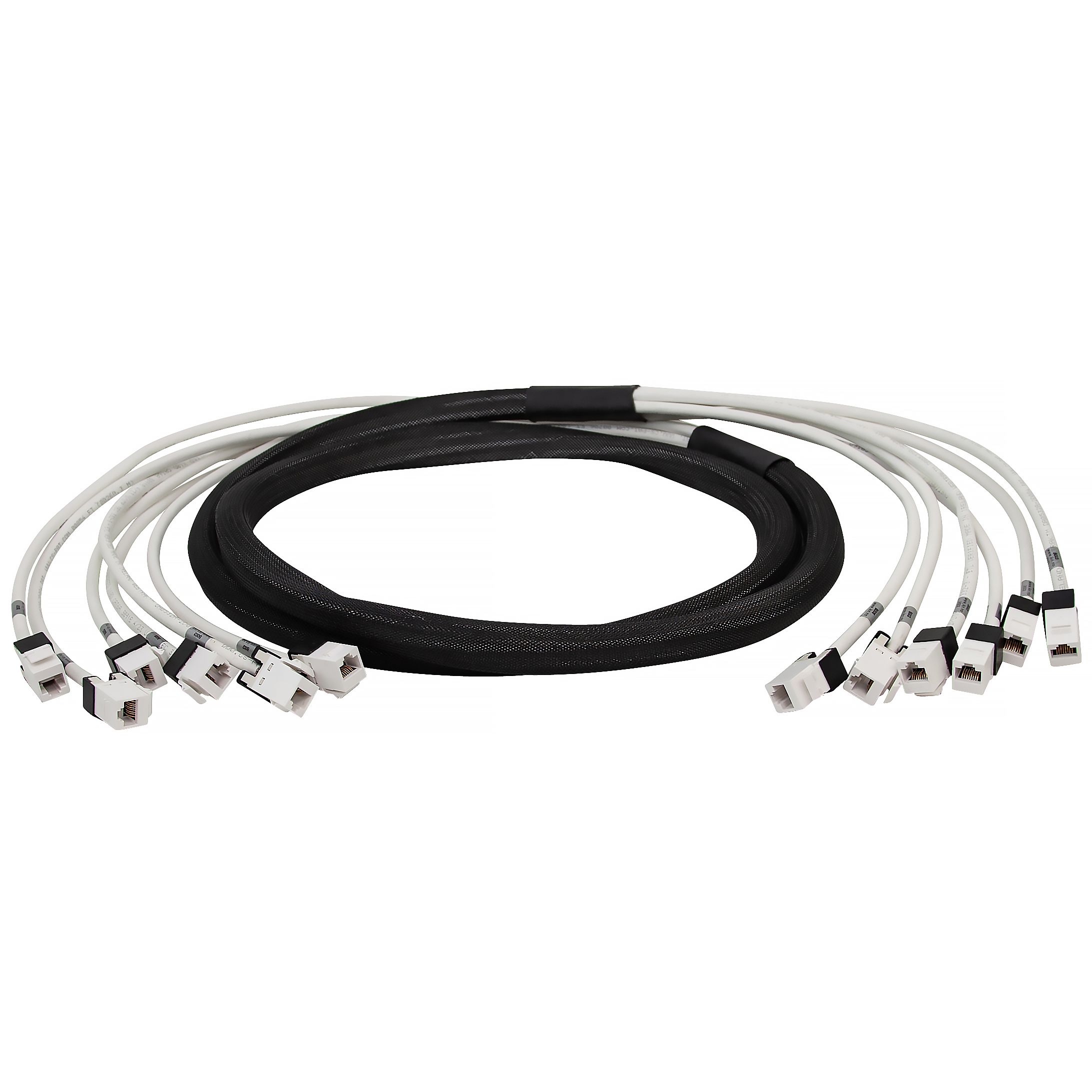 Cat6A Unshielded Pre-Terminated Copper Trunk Cable, 6 Jack To 6 Foss AS