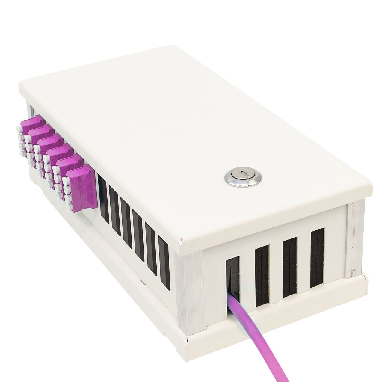 Wall box Flexi 11, 24xLC, 50/OM4, AXAI Foss AS