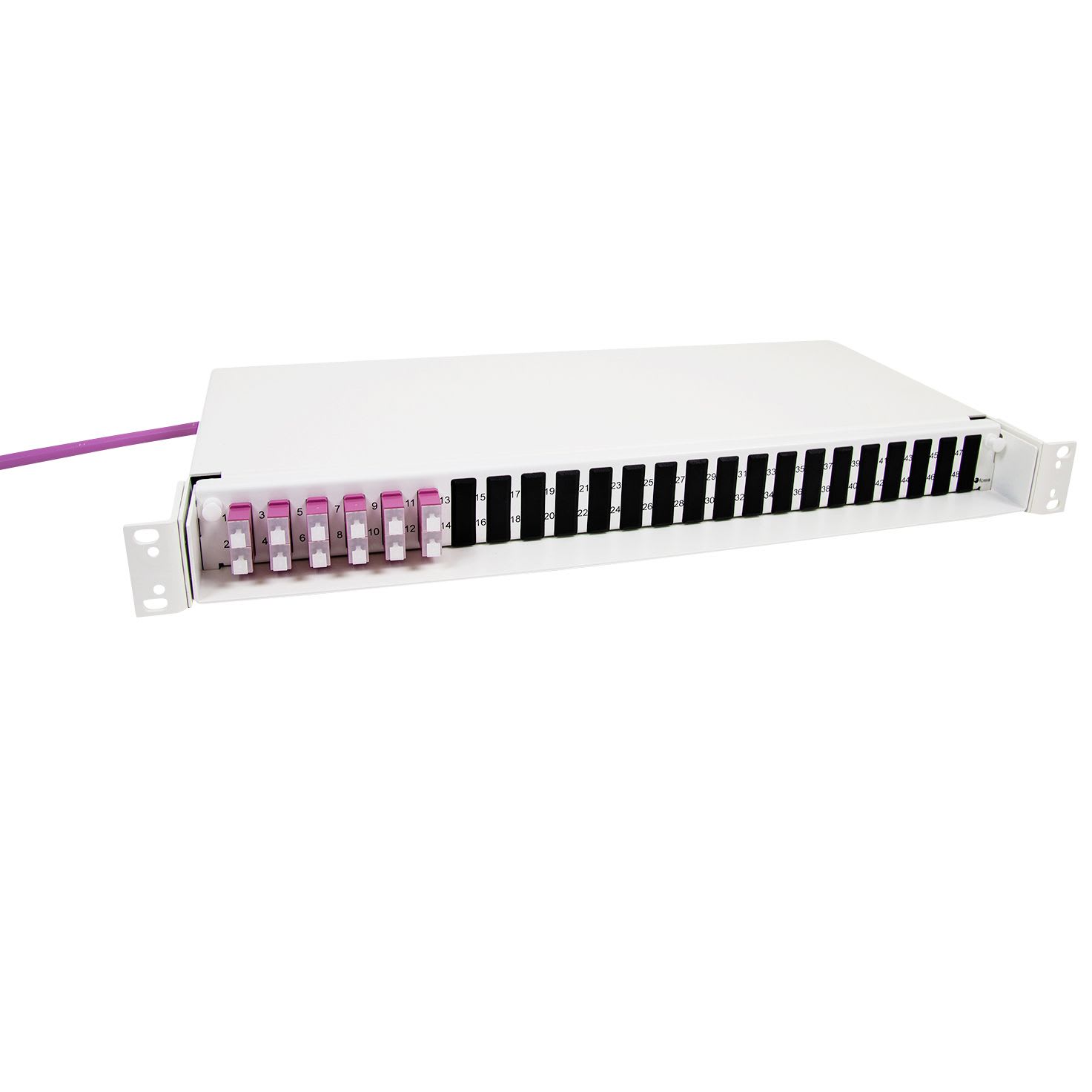 Panel FP65 PRO, 12 SC, 50/OM4, AXAI Foss AS
