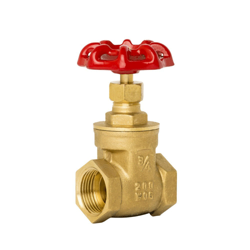STEAM VALVE 20MM - PIPE FITTINGS | Fowkes Bros