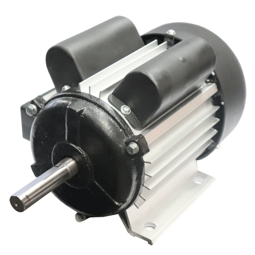 DRILL PRESS SPARE MOTOR 1601F - 550W MOTOR FOR RDM-1601F | Fowkes Bros