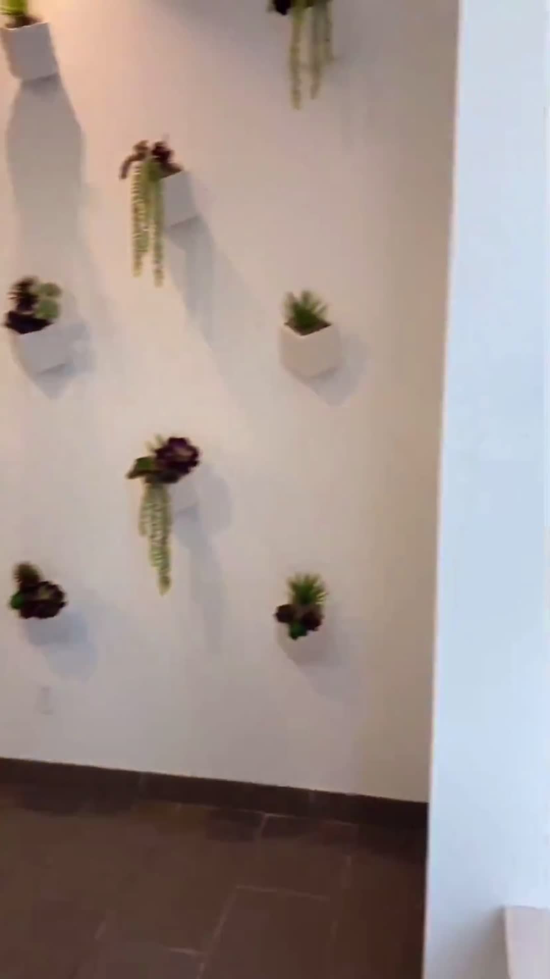 Franki | ouitsfood | Tra Tea & Juice Bar