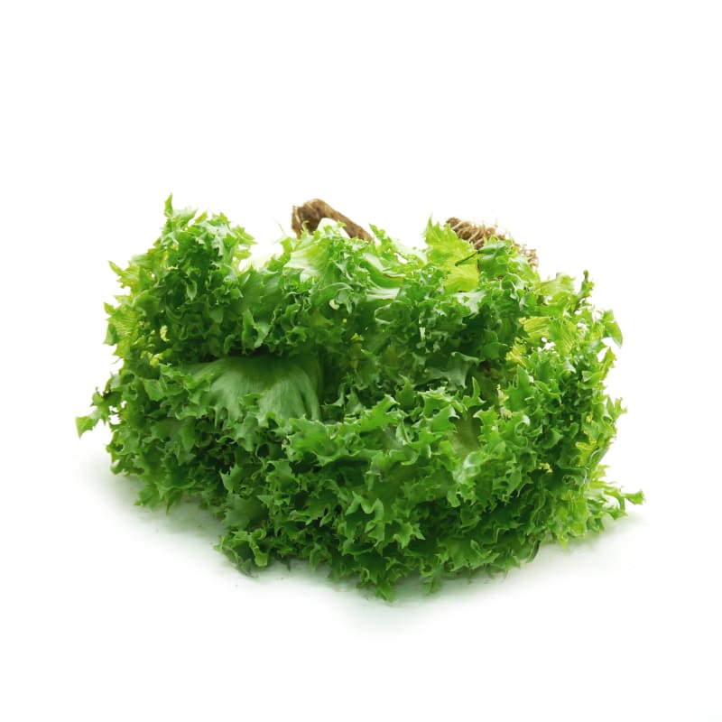 Frillice Iceberg | Order ingredients online | freshket