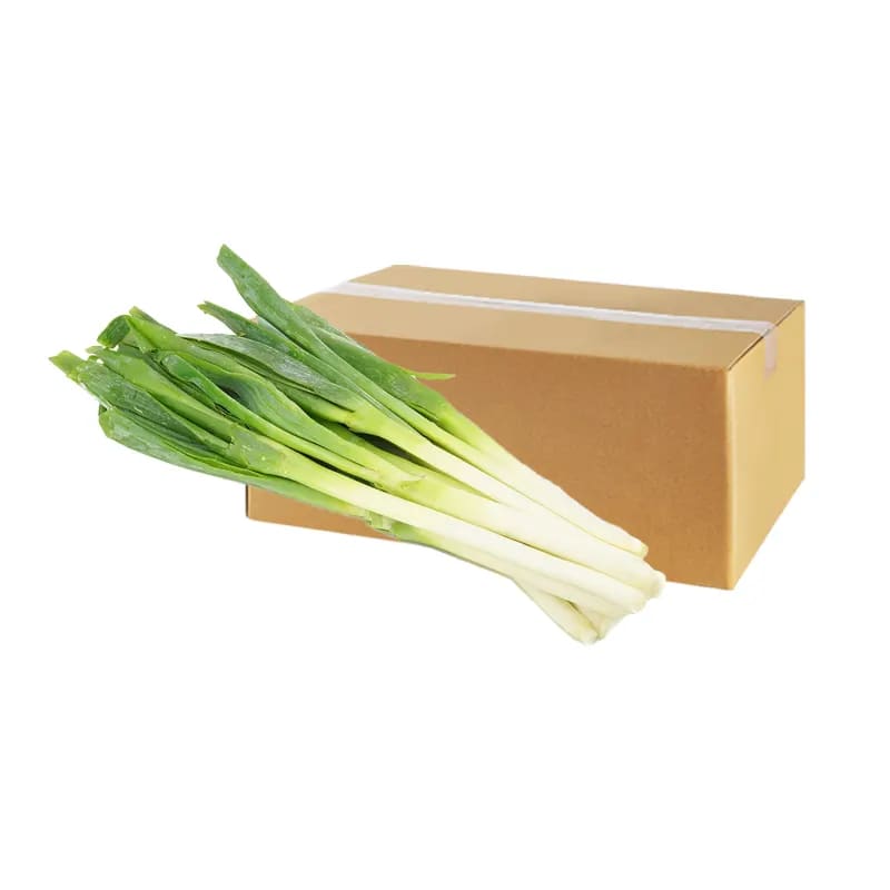 Japanese Spring Onion (Long Leaf) | Order ingredients online | freshket