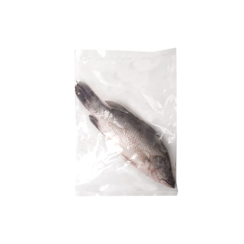 White Sea Bass Fish size 500-700 g./each | Order ingredients online ...