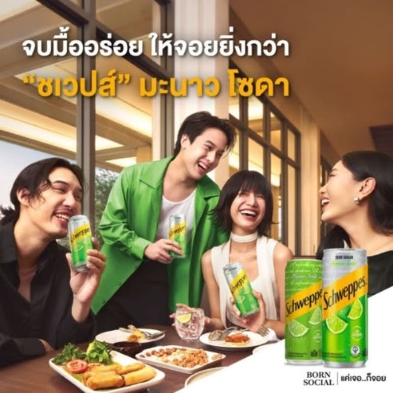 Soft drink Ginger Ale Schweppes Brand (Can) | Order ingredients online ...