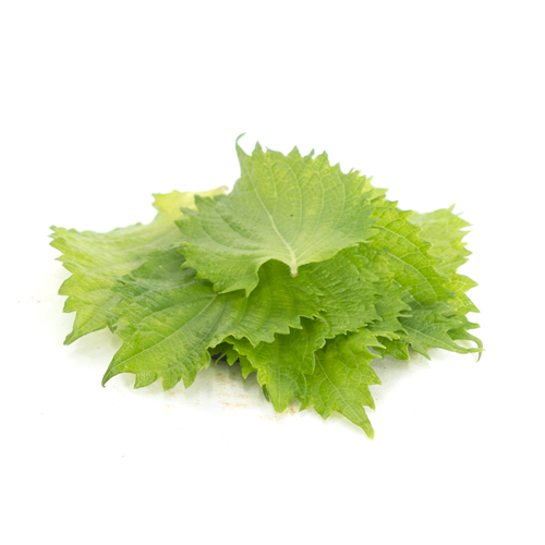 Shiso, Oba | Order ingredients online | freshket